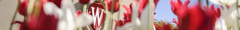 Brand and Visual Identity – Tools, resources, and best practices – UW ...